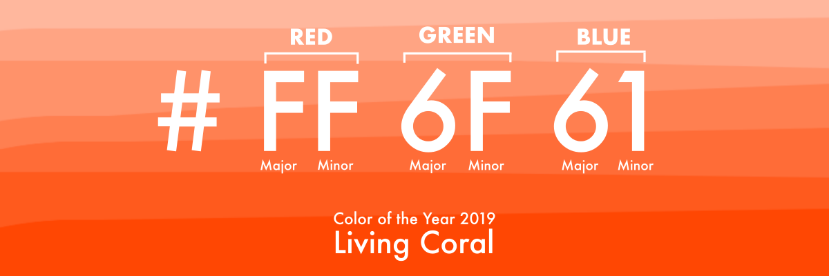 A Handy Guide to Color Theory