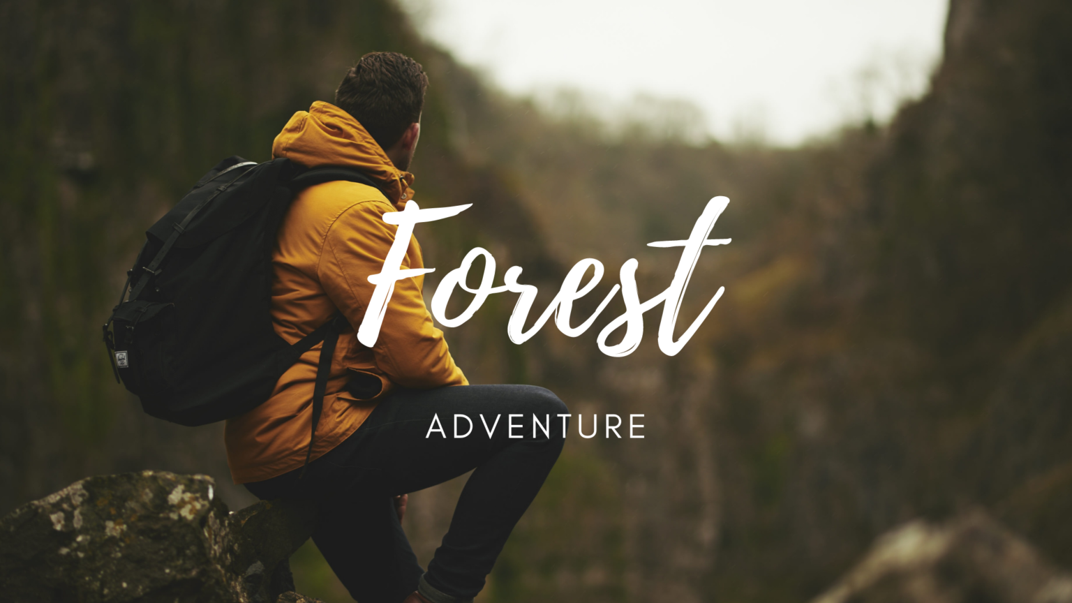 5 Rules of Layout Design and Composition