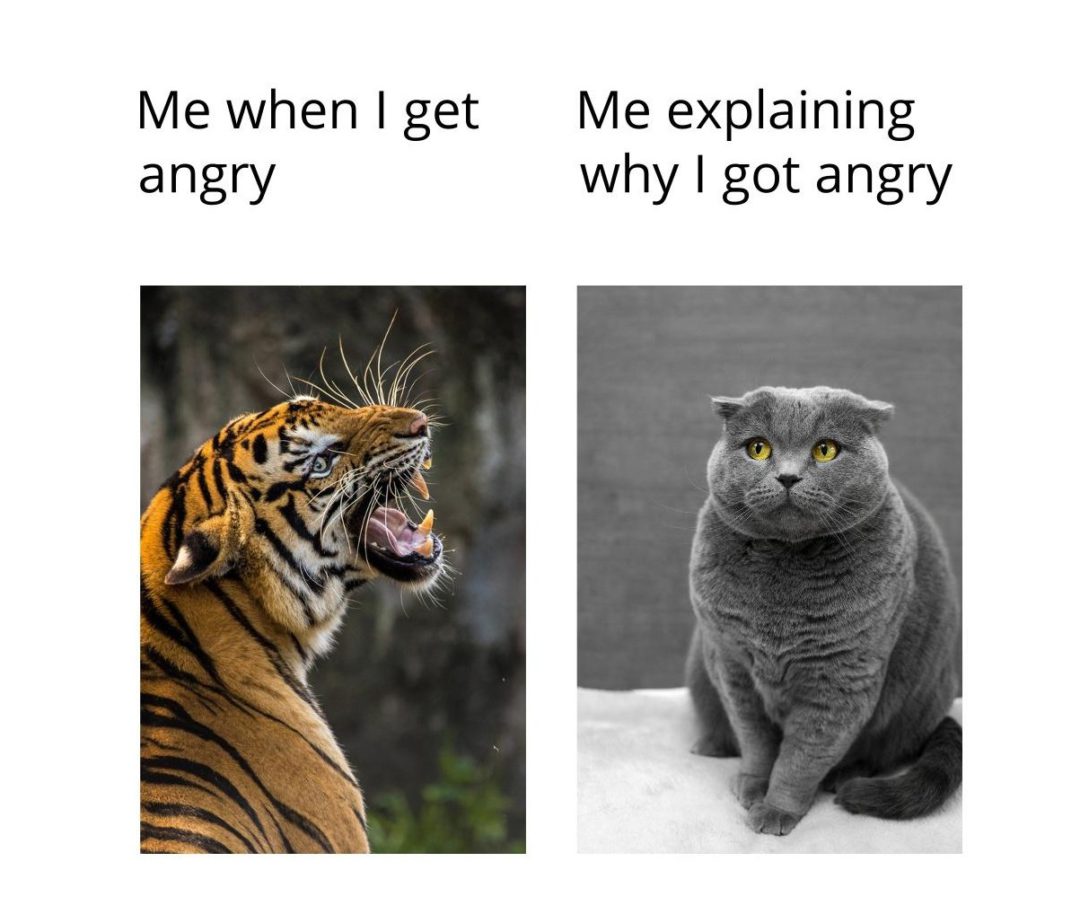 5 Popular Meme Formats for Your Content Marketing